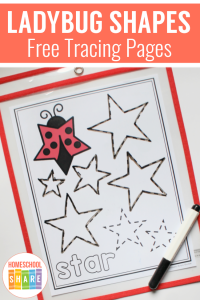Free Ladybug Shapes Tracing Worksheets - Homeschool Share