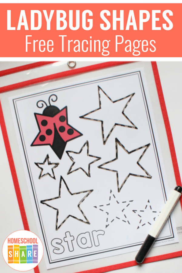 Free Ladybug Shapes Tracing Worksheets - Homeschool Share