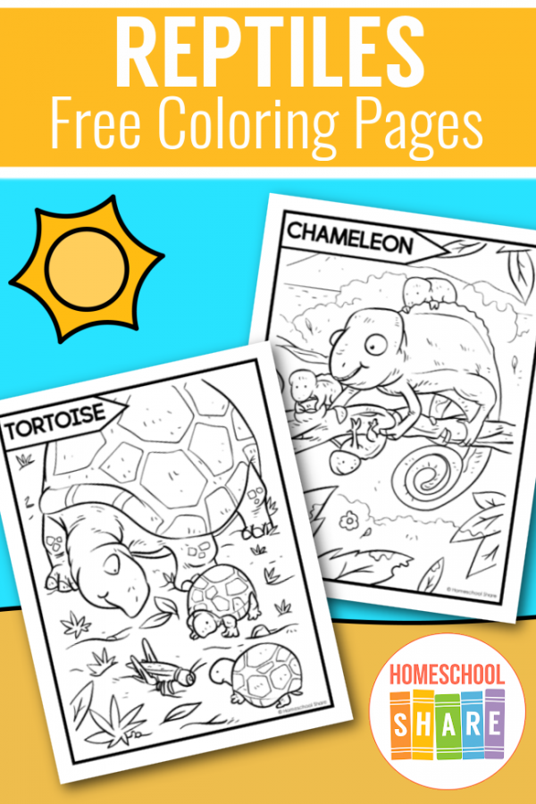 Reptiles Coloring Pages - Homeschool Share