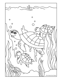 Ocean Animals Coloring Pages - Homeschool Share