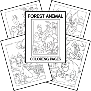 Forest Animal Coloring Pages - Homeschool Share
