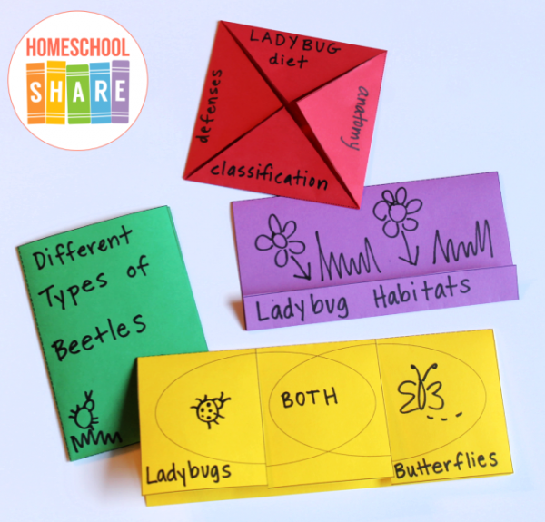 Bonus Lapbook Templates - Homeschool Share