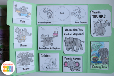 Elephants Lapbook - Homeschool Share