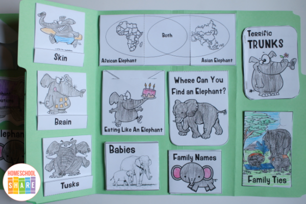 Elephants Lapbook - Homeschool Share