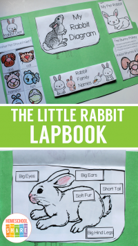 The Little Rabbit Lapbook - Homeschool Share