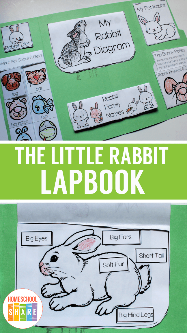 The Little Rabbit Lapbook - Homeschool Share
