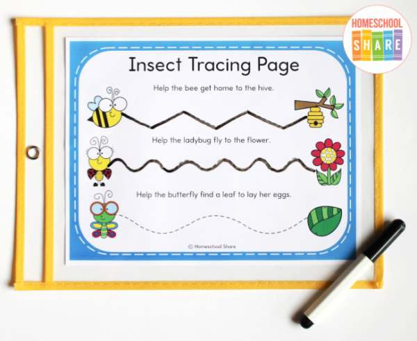 Insects Tracing Pages - Homeschool Share