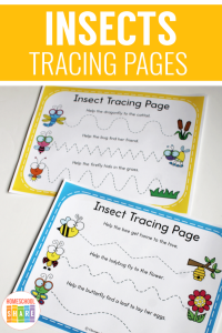 Insects Tracing Pages - Homeschool Share