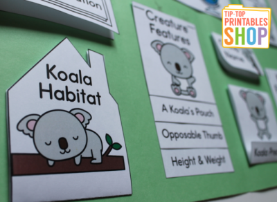 Koala Lapbook - Homeschool Share
