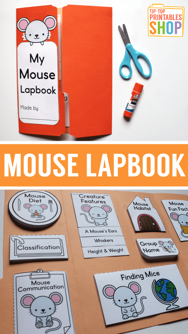 Mouse Lapbook - Homeschool Share