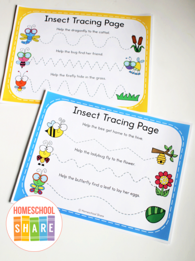 Insects Tracing Pages - Homeschool Share