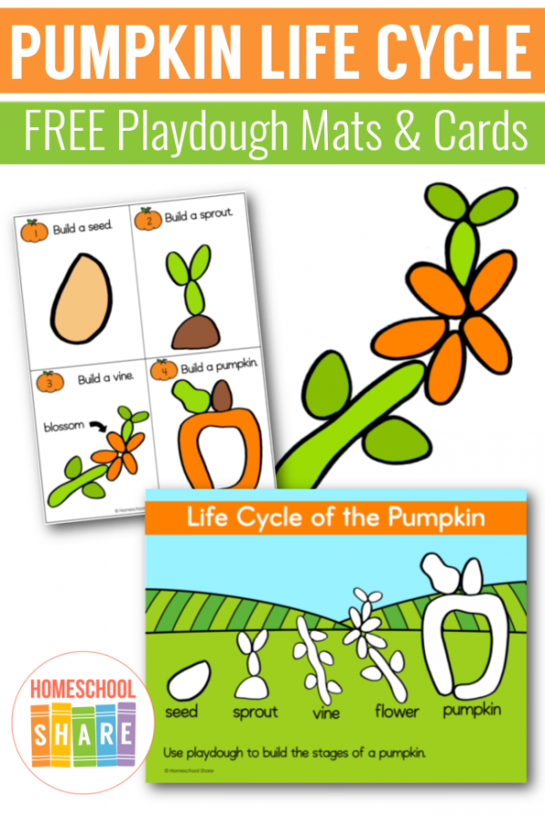 Free Pumpkin Life Cycle Playdough Mats - Homeschool Share