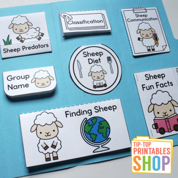 Sheep Lapbook - Homeschool Share