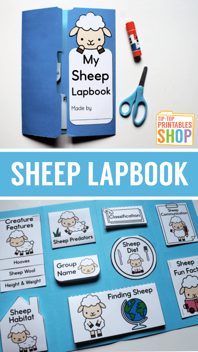 Sheep Lapbook - Homeschool Share