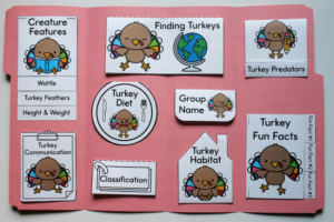 Turkey Lapbook - Homeschool Share