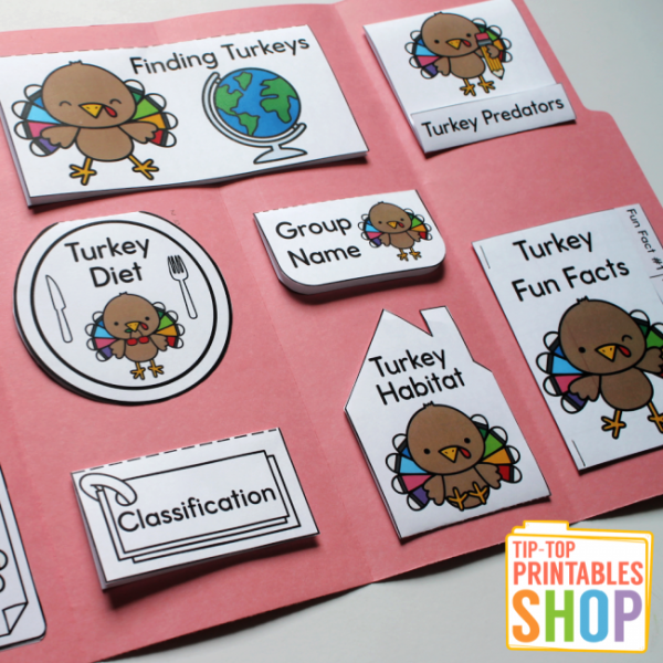 Turkey Lapbook - Homeschool Share