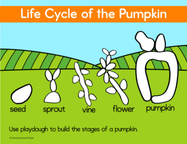 Free Pumpkin Life Cycle Playdough Mats - Homeschool Share
