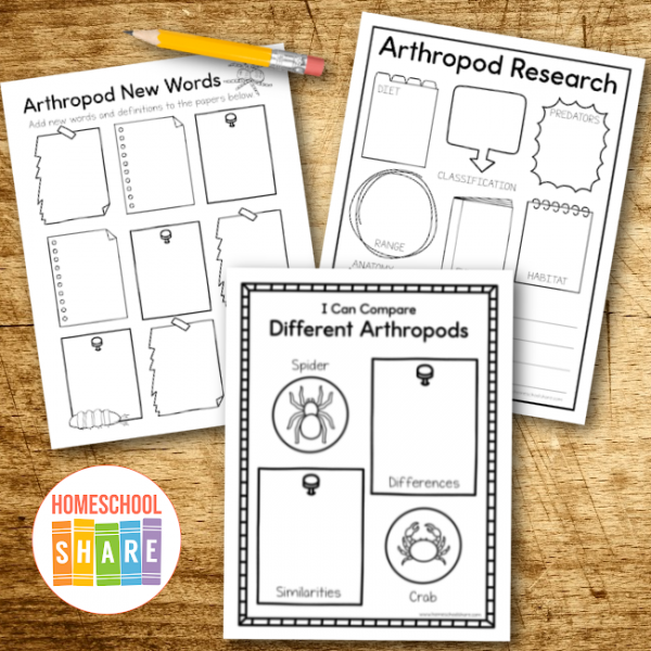 Arthropods Unit Study - Homeschool Share