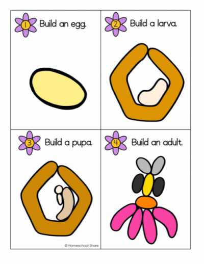 Free Bee Life Cycle Playdough Mats - Homeschool Share