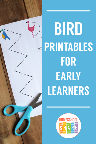 Free Bird Printables for Preschool and Kindergarten - Homeschool Share