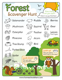 Forest Roll and Cover Dice Games (free!) - Homeschool Share