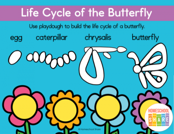 Free Butterfly Life Cycle Playdough Mats - Homeschool Share