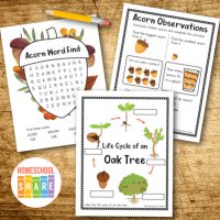 Meeting Trees Unit Study - Homeschool Share