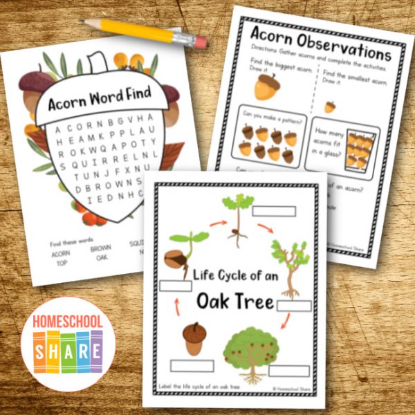 Meeting Trees Unit Study - Homeschool Share