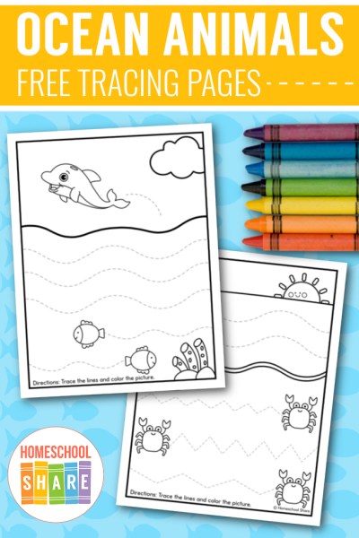 Ocean Animal Tracing Pages - Homeschool Share