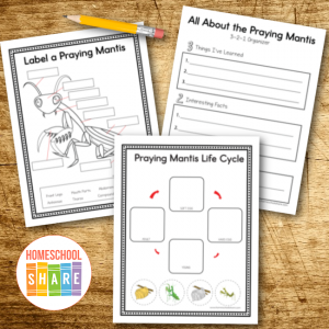 Arthropods Unit Study - Homeschool Share