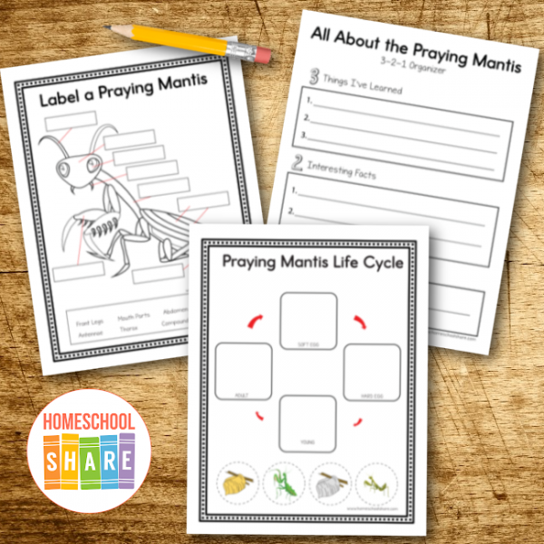 Arthropods Unit Study - Homeschool Share