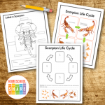 Arthropods Unit Study - Homeschool Share