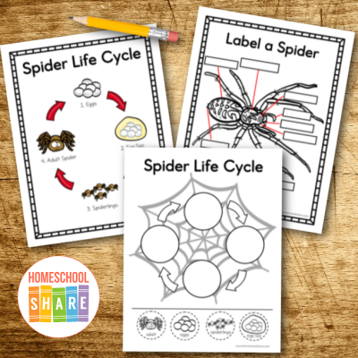 Arthropods Unit Study - Homeschool Share