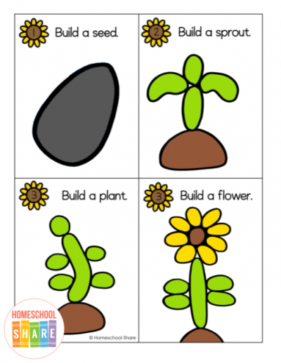 Free Sunflower Life Cycle Playdough Mats - Homeschool Share
