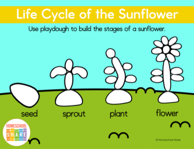 Free Printable Playdough Mats - Homeschool Share