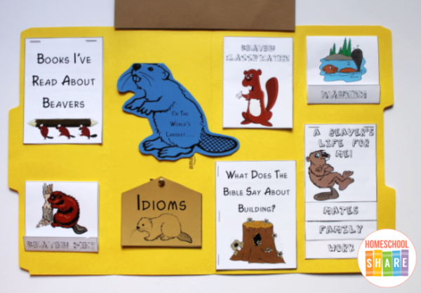Beavers Lapbook - Homeschool Share