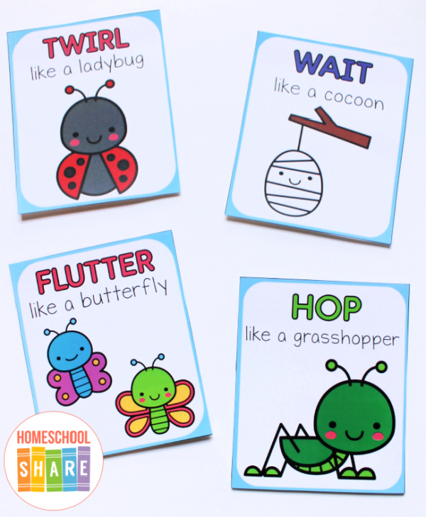 Bug Movement Cards - Homeschool Share