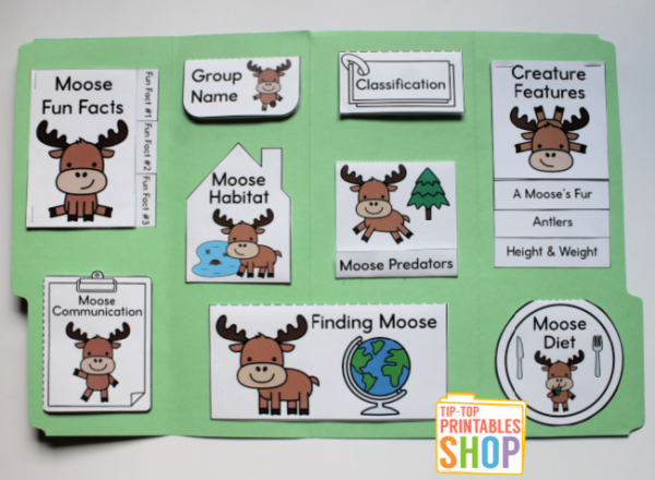 Animal Lapbooks - Homeschool Share
