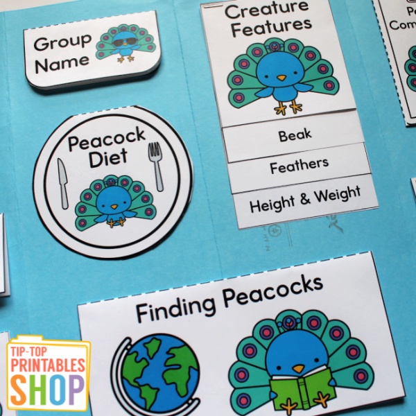 Peacock Lapbook - Homeschool Share