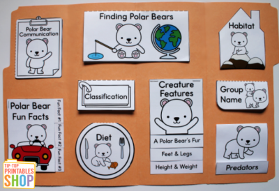 Polar Bear Lapbook - Homeschool Share