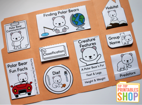 Polar Bear Lapbook - Homeschool Share