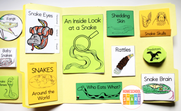 Snakes Lapbook - Homeschool Share