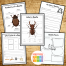 Free Insects Worksheets - Homeschool Share