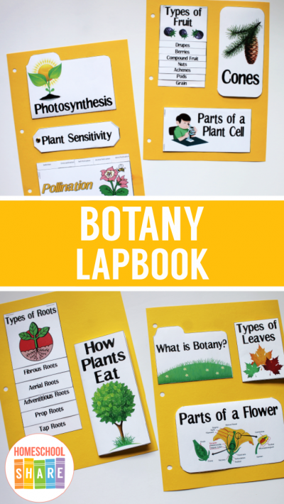 Botany Lapbook - Homeschool Share