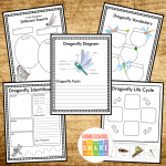 Free Insects Worksheets - Homeschool Share