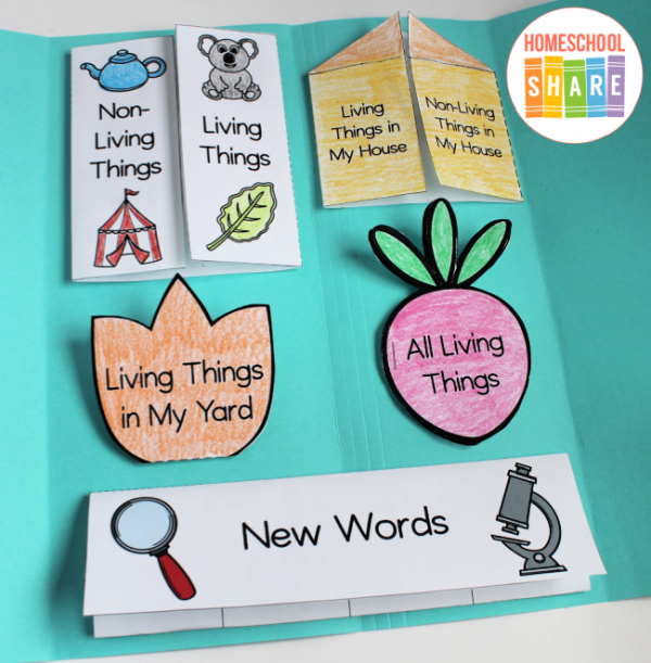 Editable Lapbook Templates - Homeschool Share