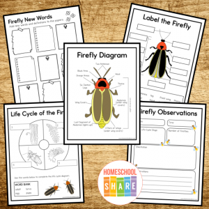 Free Insects Worksheets - Homeschool Share