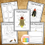 Free Insects Worksheets - Homeschool Share