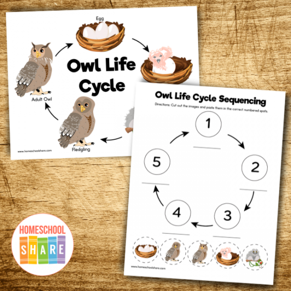Free Owl Printables - Homeschool Share