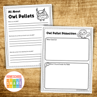 Free Owl Printables - Homeschool Share